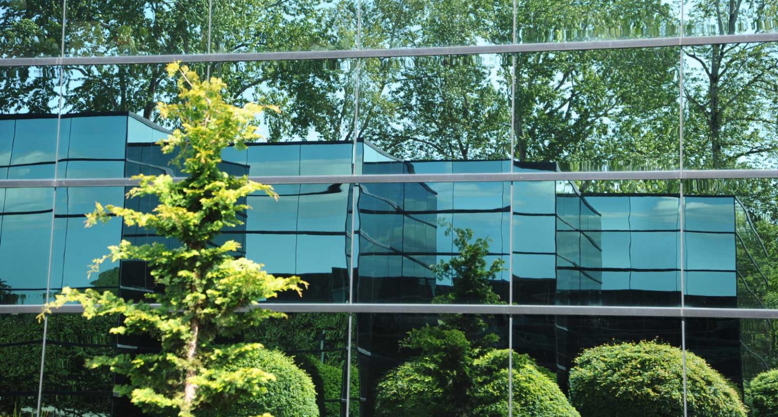 Everything you need to know about ISO Management Systems - Citation ISO