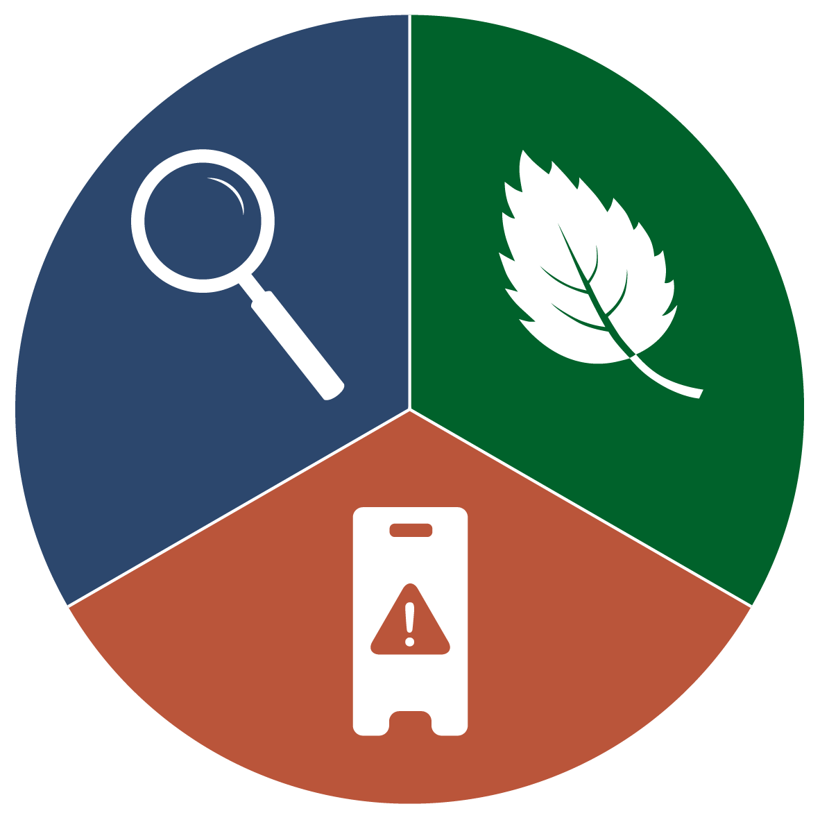 ISO Standards - QMS International
